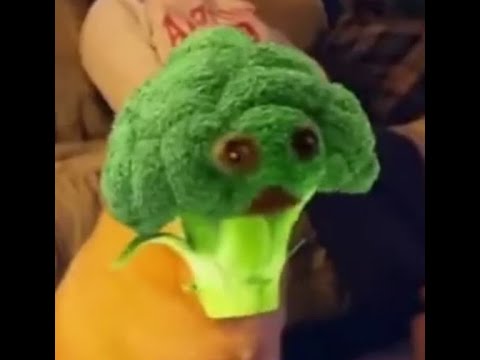 The Double R' Bar Experience - YouTube