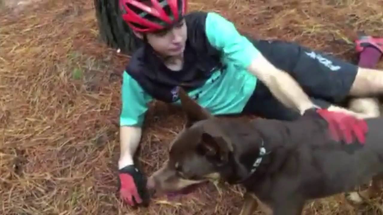 MTB Dog Racing - Hamish Hunt Bike Wheels Australia - YouTube