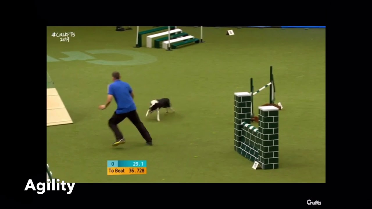 Euan Paterson & Meg Crufts Champ 2019 - YouTube