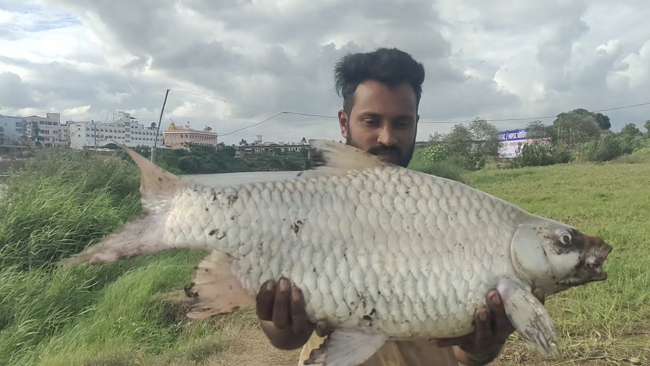 Catching Big Parag Fish With 3 Hook | Unique Fishing Bait | Carp ...