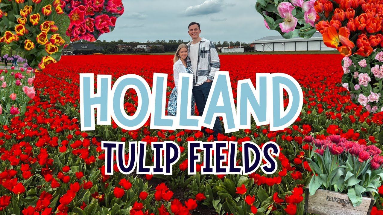 Americans Experience Holland's Tulip Wonderland! Keukenhof Garden & The Famous Tulip Fields ...