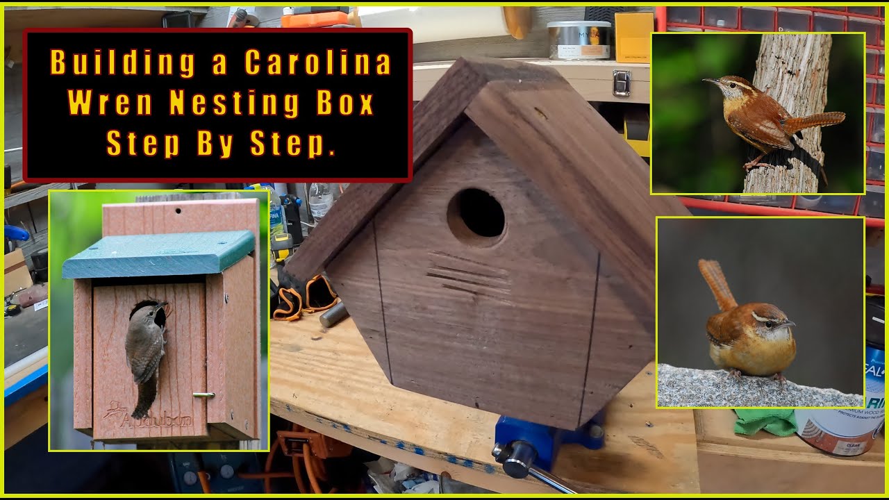 "Step-by-Step Carolina Wren Nest Box Build | Easy DIY Birdhouse Project ...