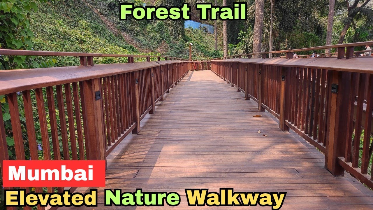 Mumbai's first Elevated forest Walkway at Malabar Hill | Mumbai's ...