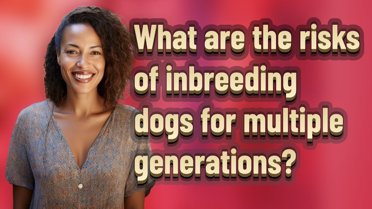 What are the risks of inbreeding dogs for multiple generations? - YouTube
