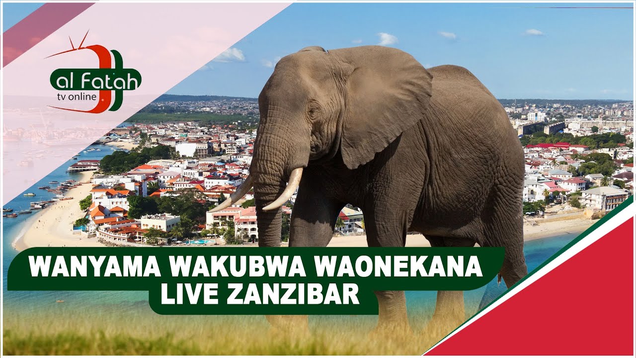 WANYAMA WAKUBWA WAONEKANA LIVE ZANZIBAR - YouTube