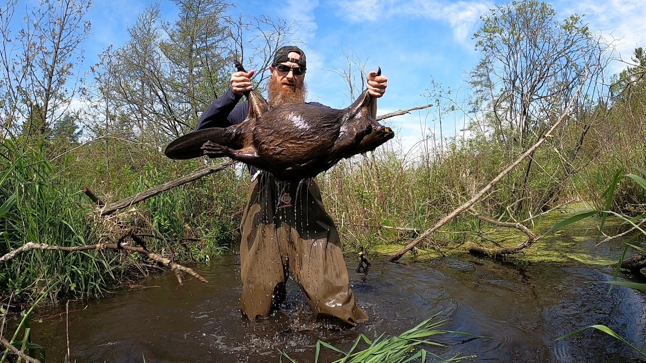 Surviving Canada's Unforgiving Swamp! (No Food, Water, or Shelter ...