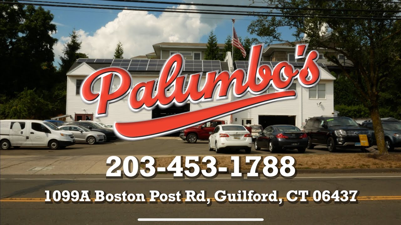 Palumbos Video 2 - YouTube