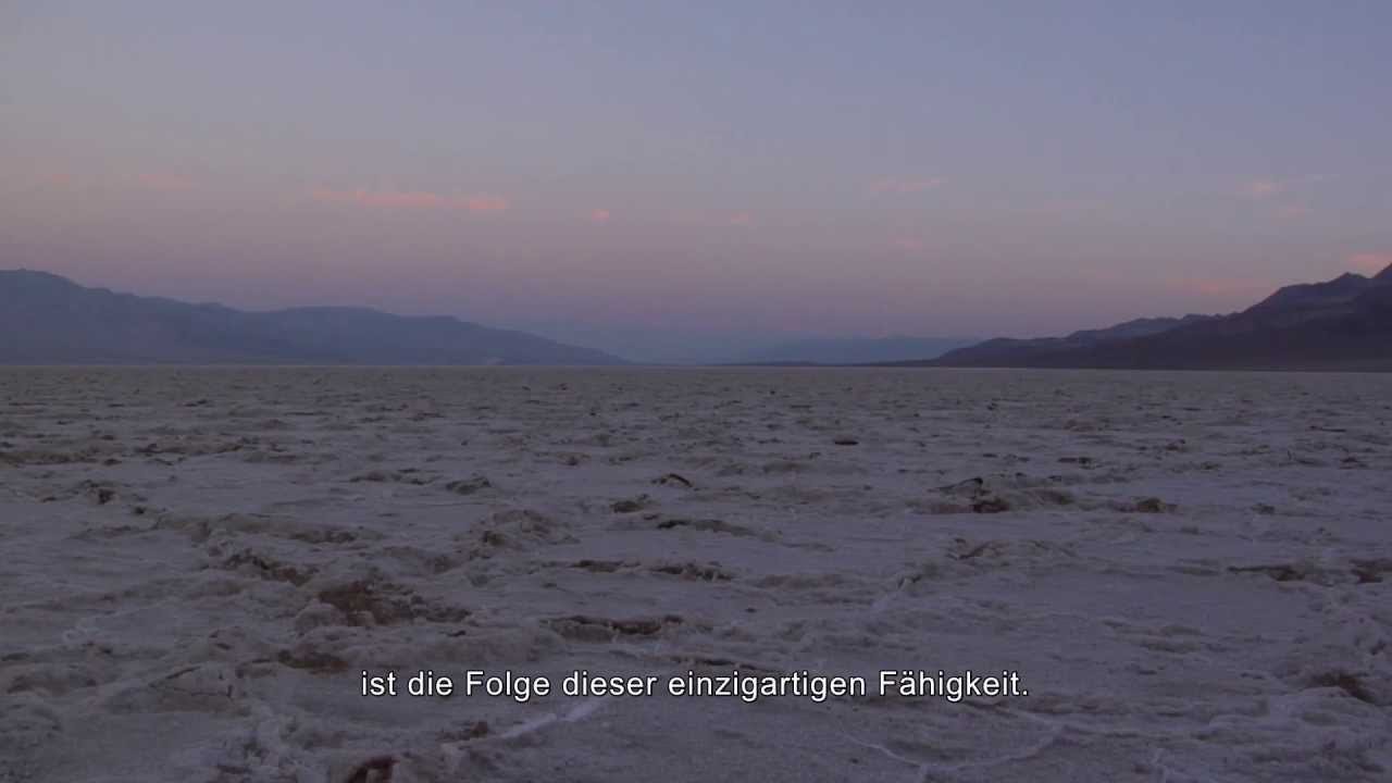 ALPHABET - Trailer - YouTube