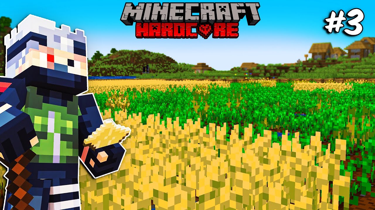 I Made a Biggest Wheat Farm in Minecraft Hardcore #3. - YouTube