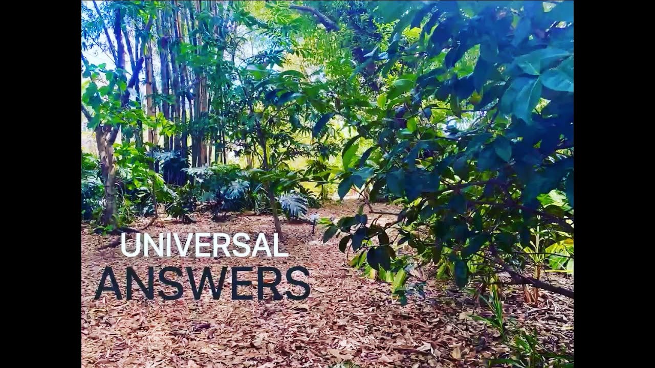 Universal Answers 😄 - YouTube
