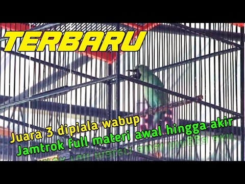 Cucak ijo juara 3 Full jamtrok bongkar materi PIALA WABUP JOMBANG SKMB BLIMBING GUDO - YouTube