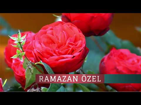 RAMAZAN'DA KANAL 43