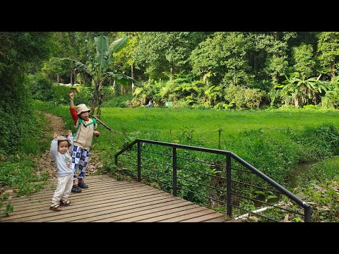 Camping bareng 2 bocil di Rengganis Campsite Bandung