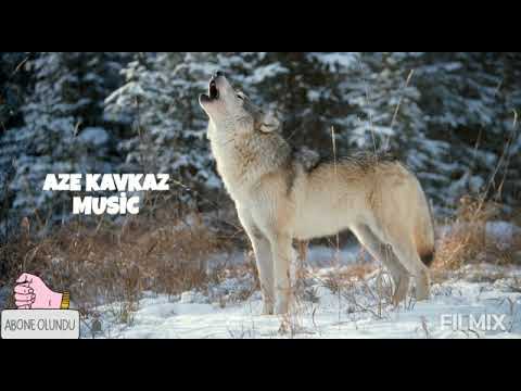 🖤NEW LEZGİNKA 2021- AZE KAVKAZ MUSİC🖤