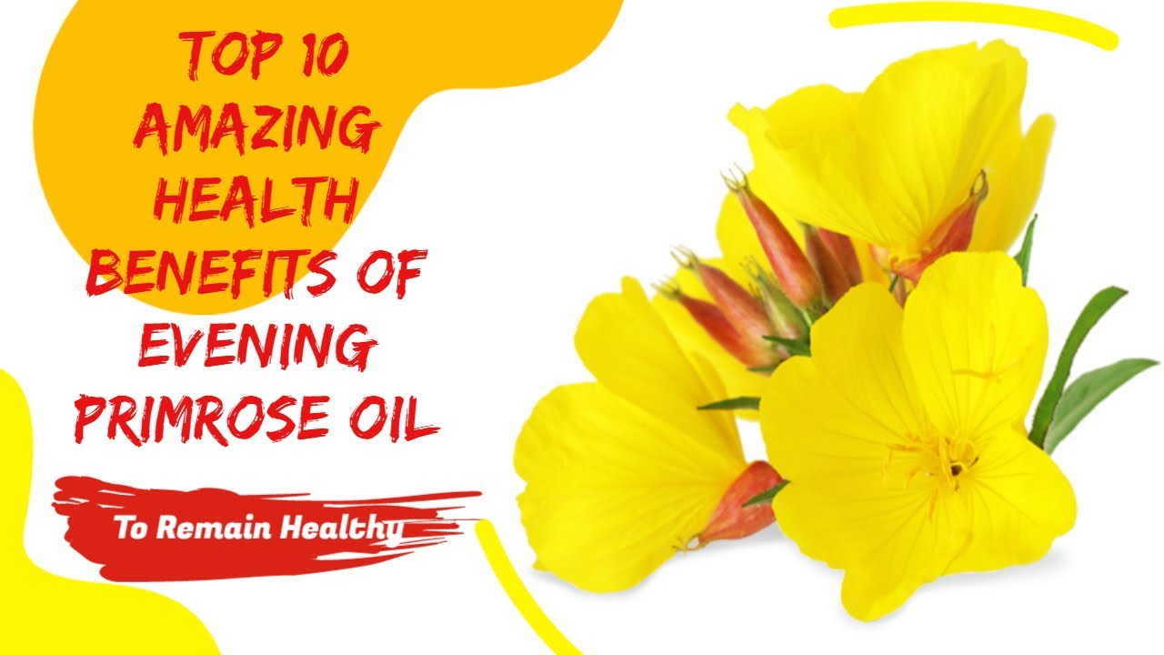 Top 10 Amazing Health Benefits Of Evening primrose Oil - YouTube