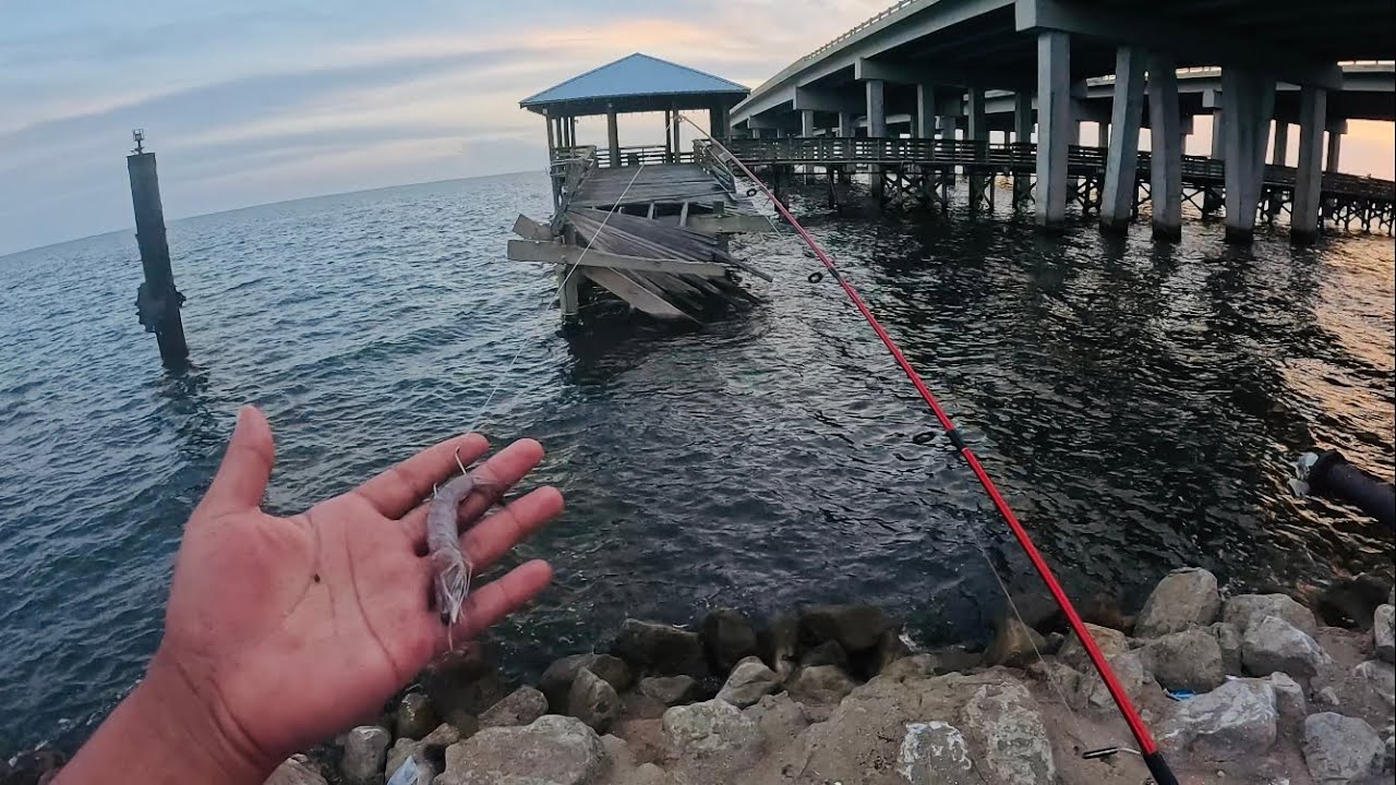 Fishing The INFAMOUS Broken Pier! {CATCH CLEAN COOK} - YouTube