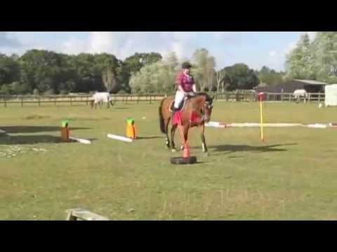 handy pony practice - YouTube