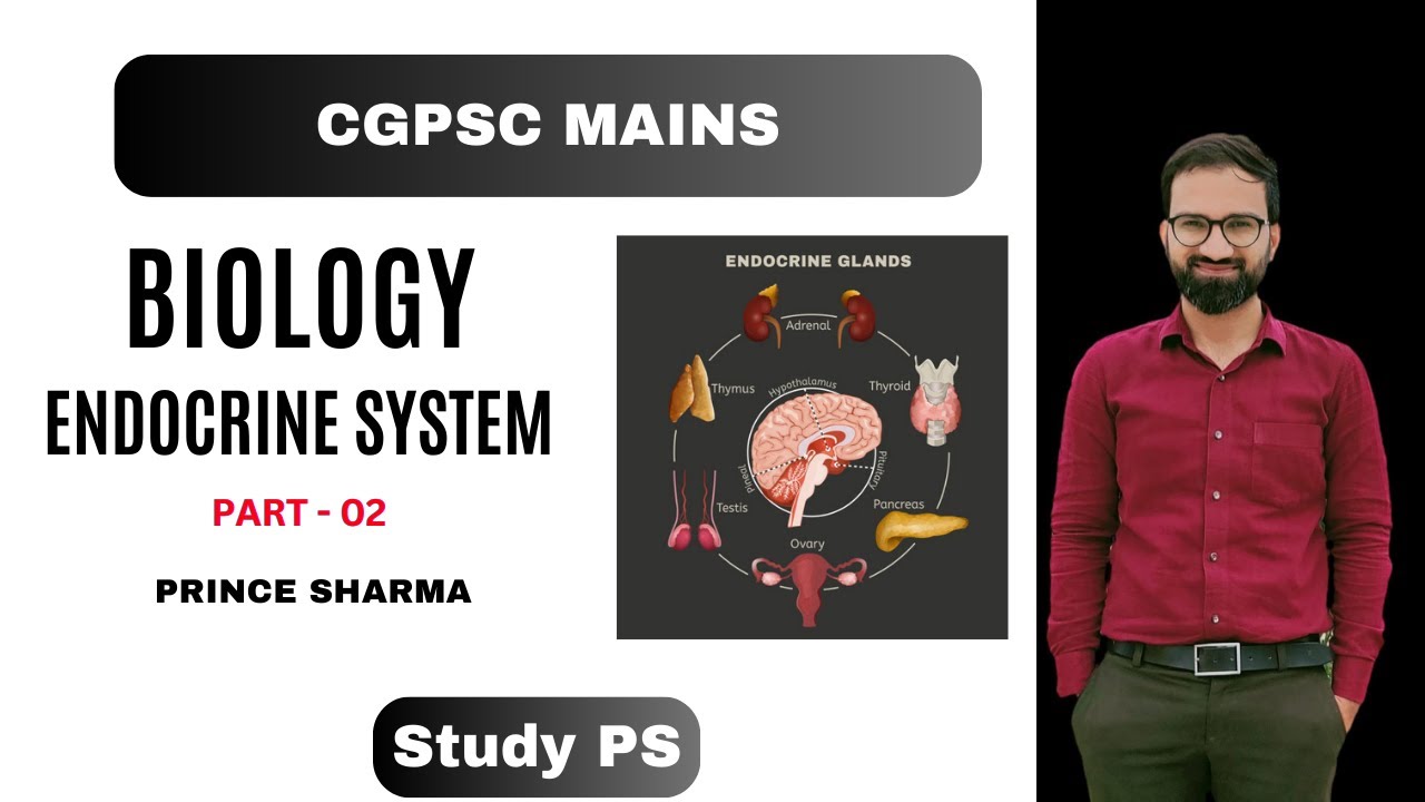 Exploring the Endocrine System" Part 2 #science #endocrinesystem # ...
