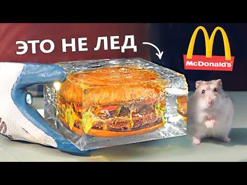 BİR BURGERİ 1 YIL BOYUNCA NASIL SAKLARSINIZ