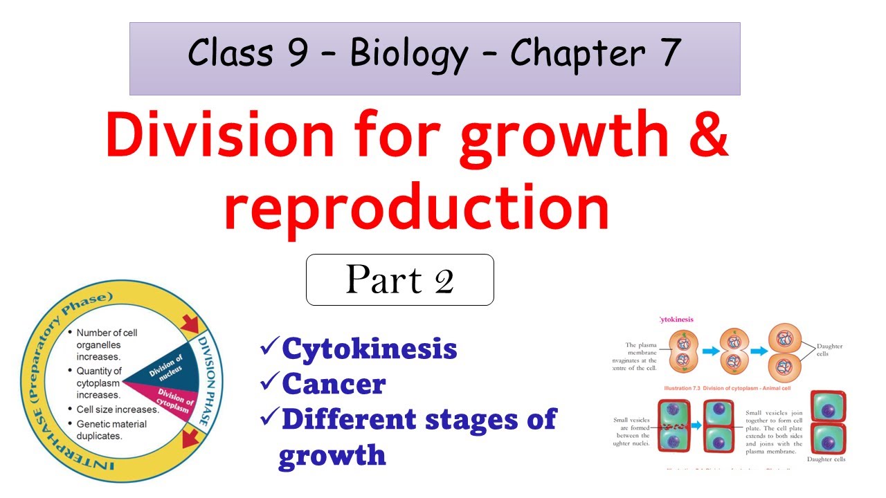 CLASS 9/BIOLOGY/CHAPTER7/DIVISION FOR GROWTH AND REPRODUCTION/PART 2 ...