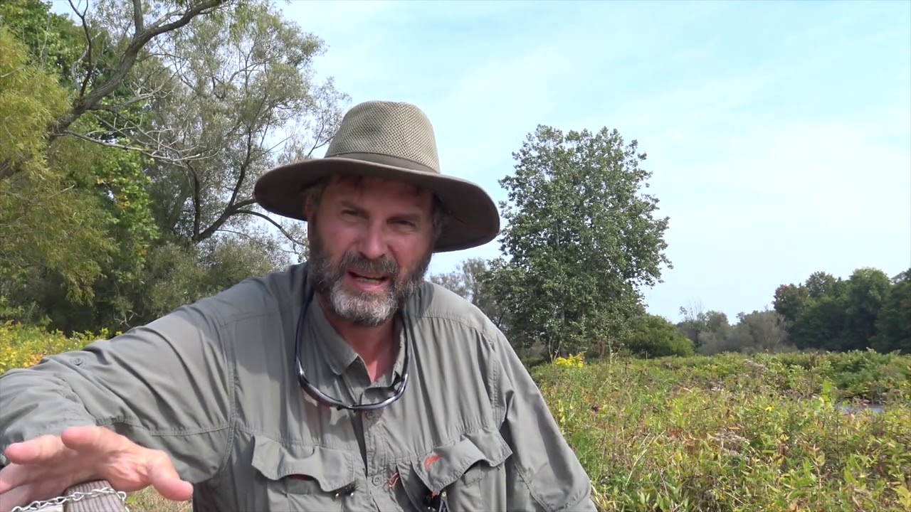 Salmon River Fishing report 5 - YouTube