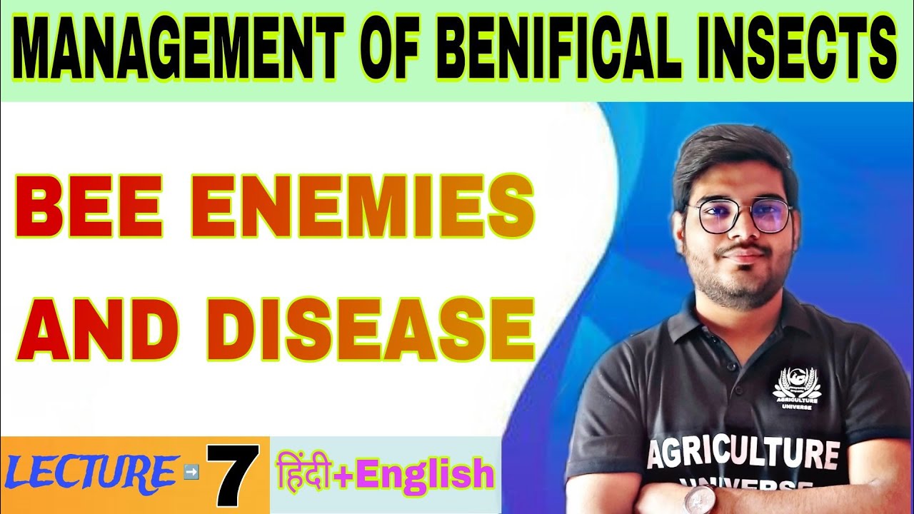 bee enemies and disease || management of beneficial insects || bee ...