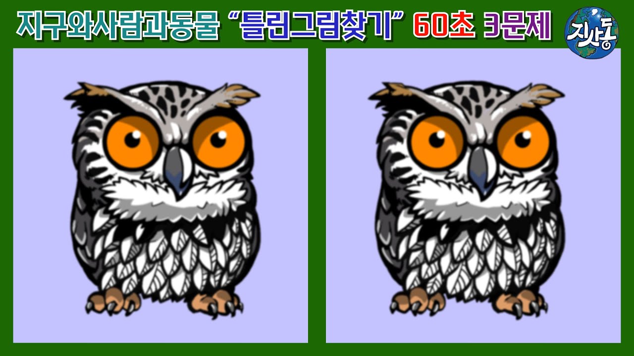 [🌛The Hidden Catch🌜] 틀린그림찾기 Ep71 #지사동 #동물 60초 동안 5곳 찾기 #두뇌운동 #집중력훈련 #동물 ...