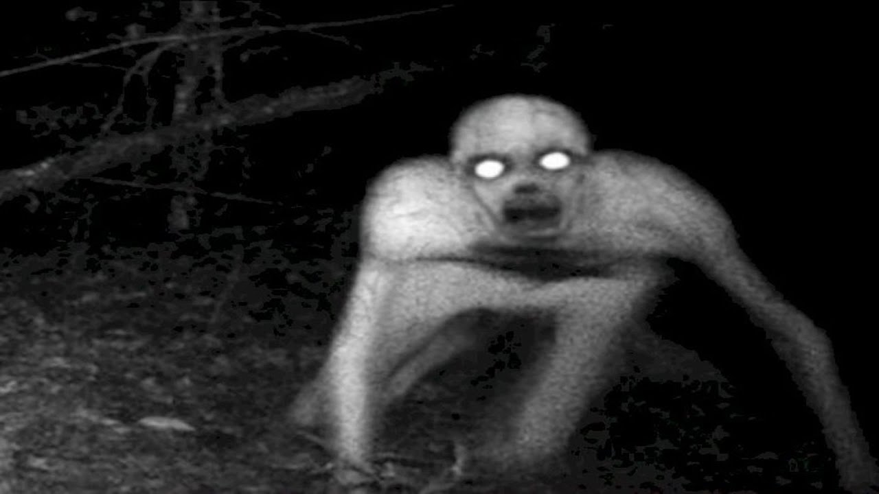 The Rake Sacrifice - YouTube