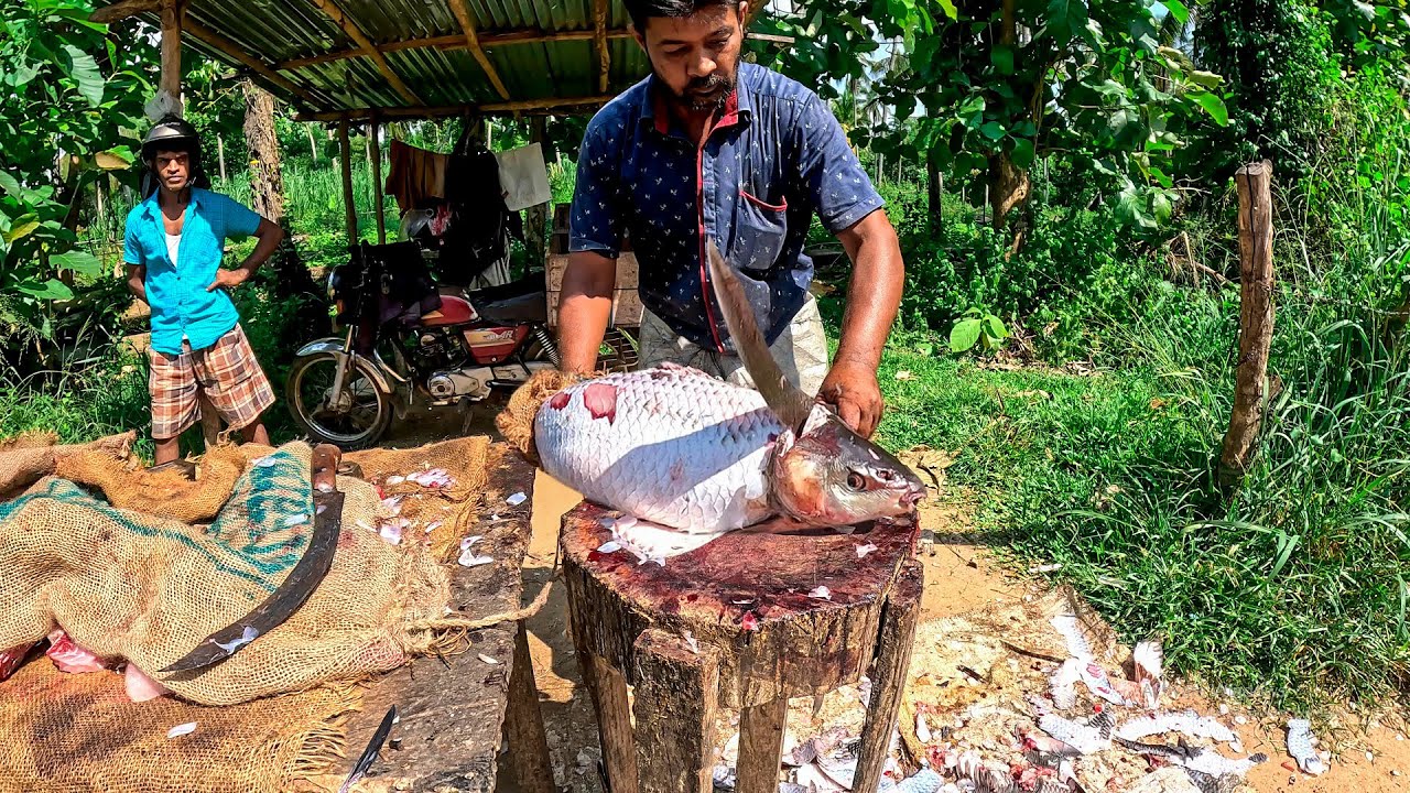 Particular !! Live Fish Cutting Skills | He Can Remove Faster Big 28kg ...