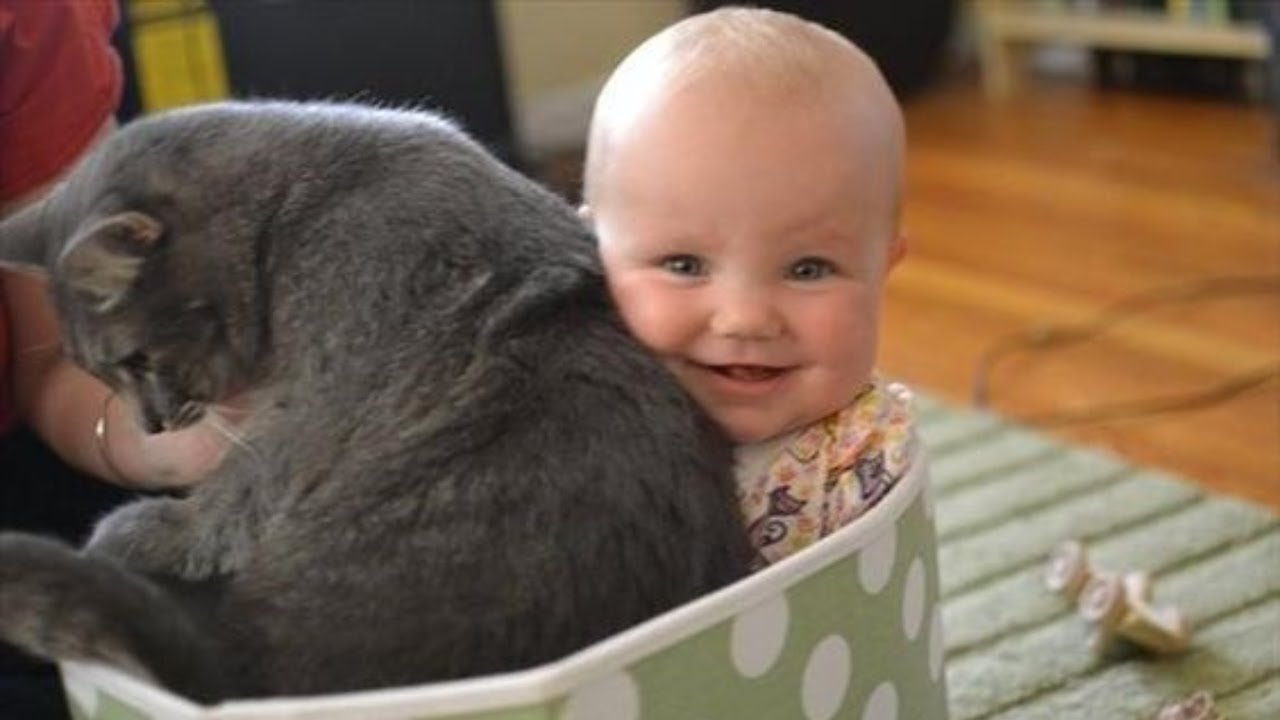 When Your Kids Are Raised by a Cat 😂 #cat #funny #baby #cute # ...