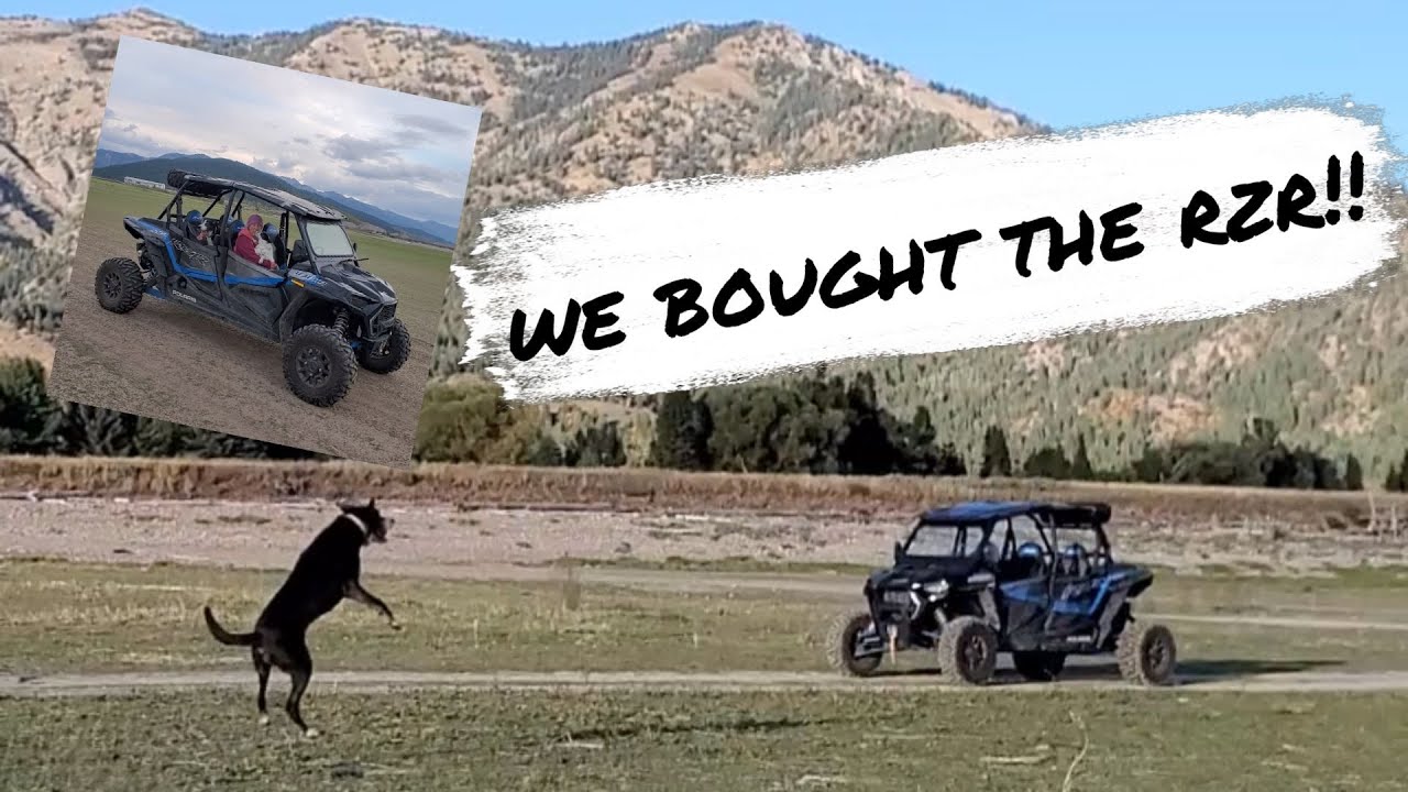 we bought the RZR!! | cowboy life in a side by side!!! 🤠🤙🐾🐾 #wyoming # ...