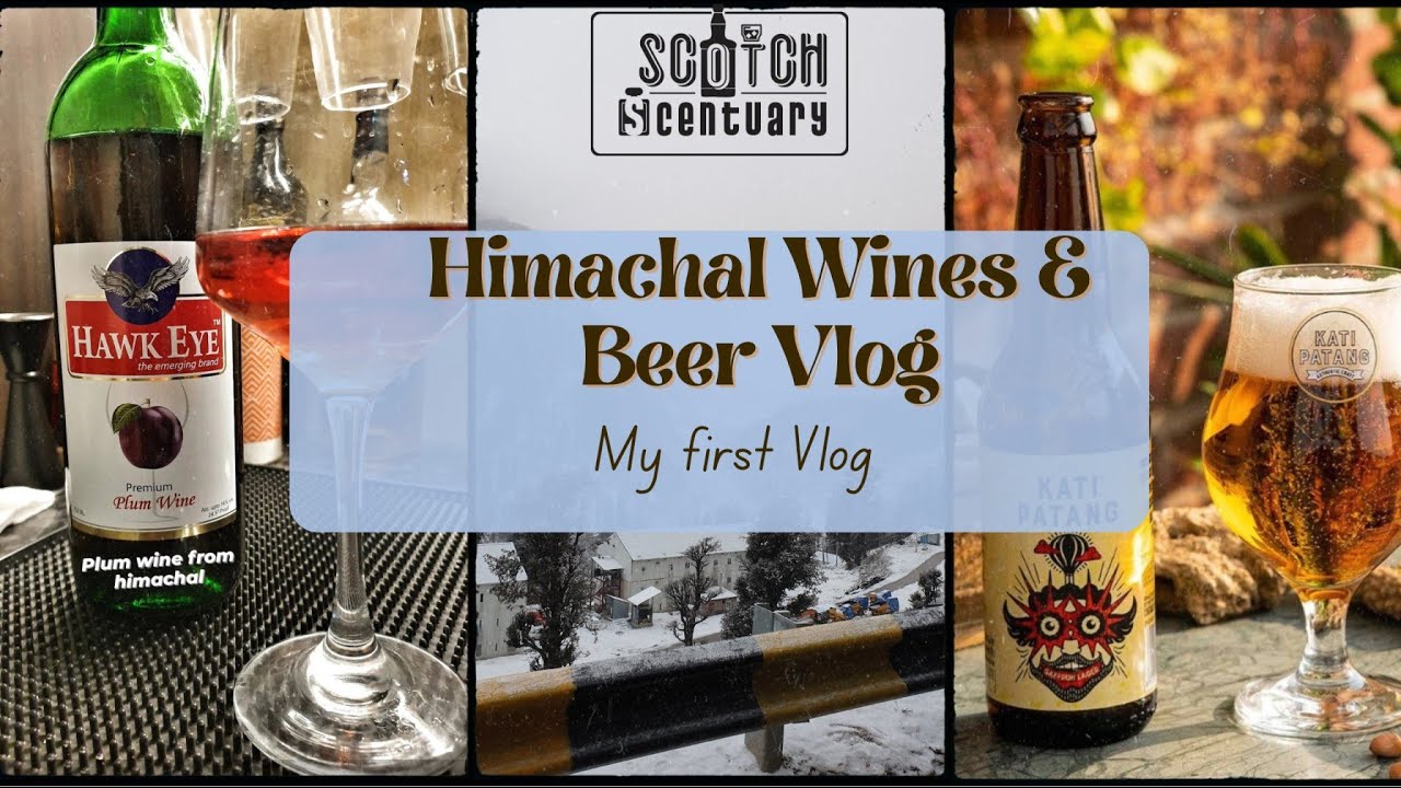Himachal ki Wines aur Beer Vlog | Scotch Scentuary #vlog #vlogging #wine #beer - YouTube