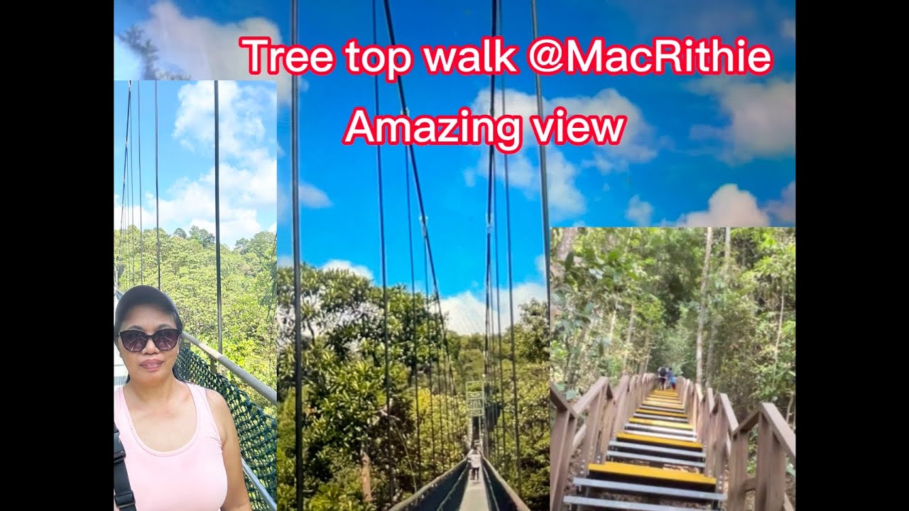 Mac Ritchie Reservior Part2! Tree Top walk #hiking #buhayofw #offday # ...