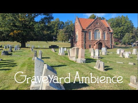 Ambient Afternoon in the Graveyard | 2 Hours - YouTube