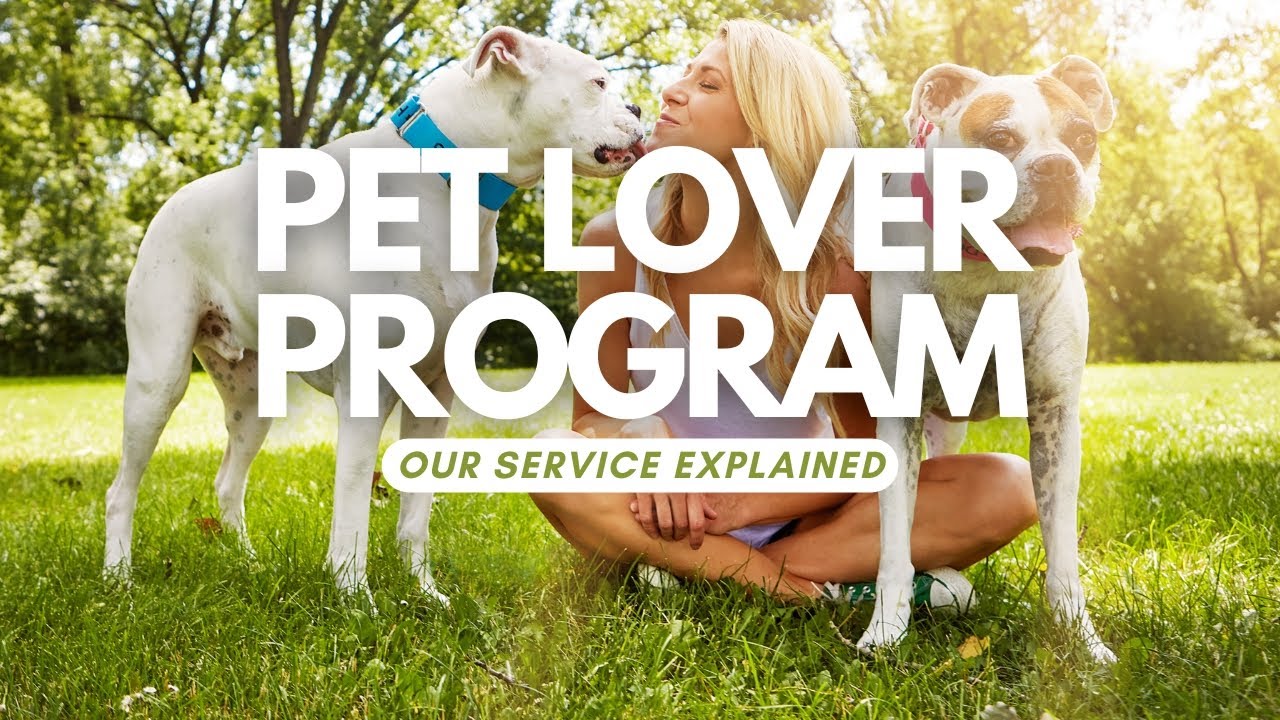 PET LOVER PROGRAM - EXPLAINED - YouTube