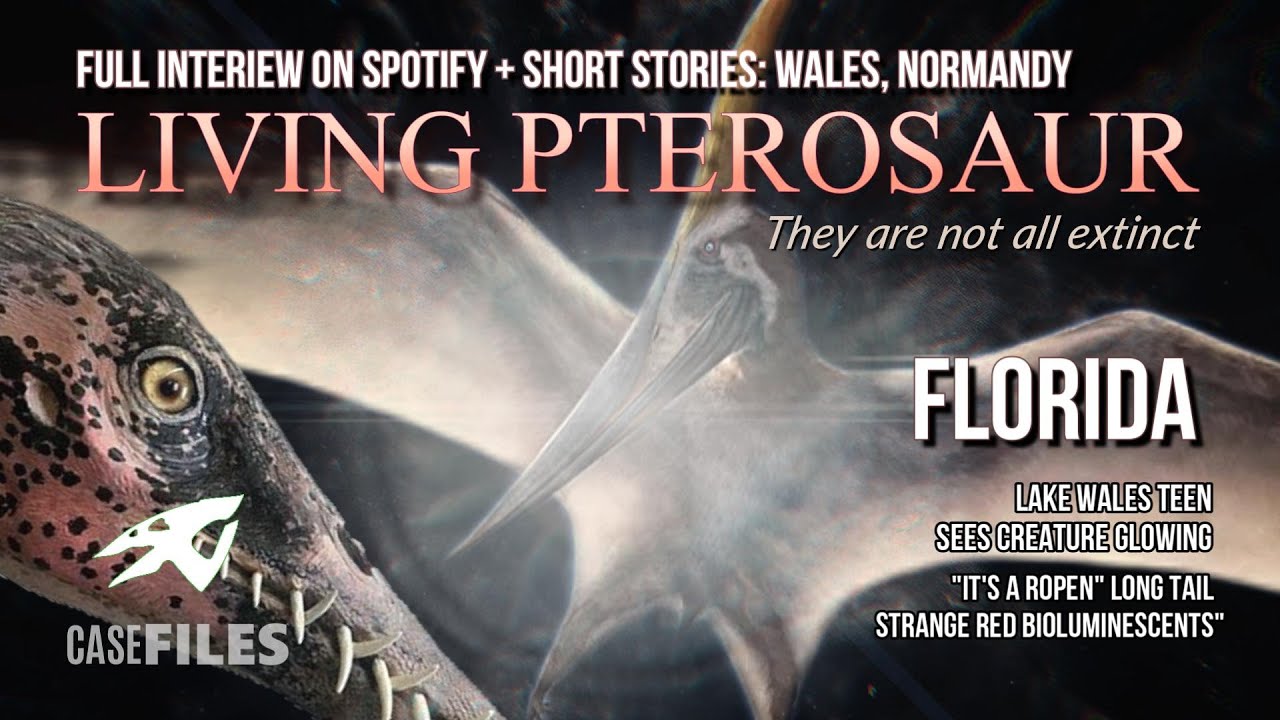 LIVING PTEROSAUR | Bioluminescence in Florida, Ropen Case Files ...