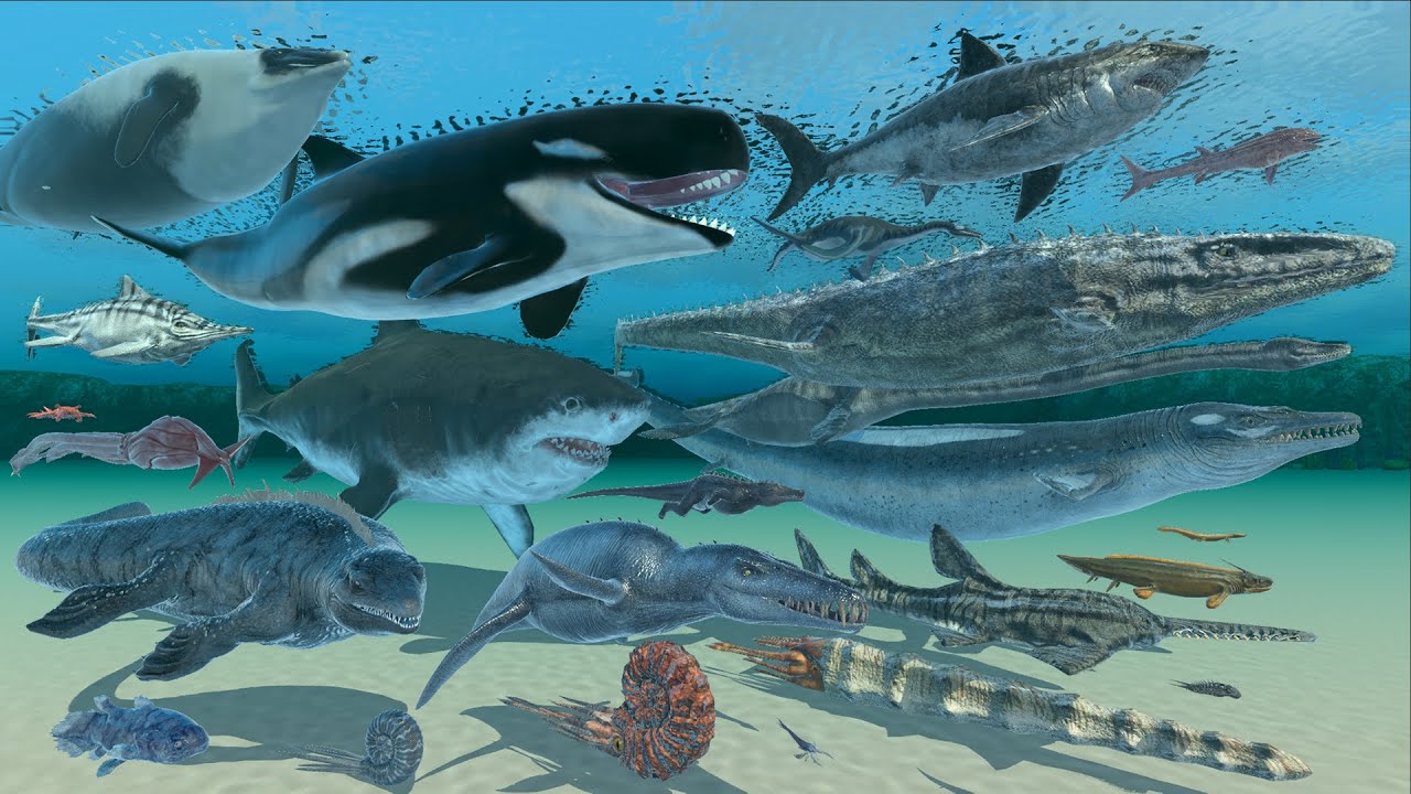 Extinct Marine Animal Speed Comparison - 3D Animation Comparison - YouTube