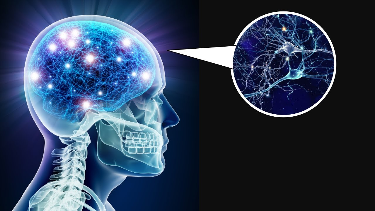 How Does Working Out Help You Mentally YouTube how-does-working-out-help-you-mentally-youtube