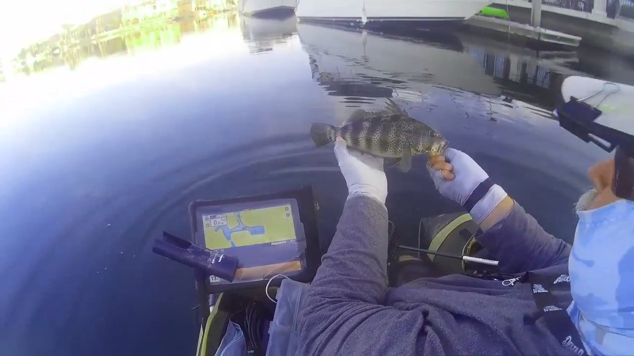 Float Tube Fishing for Saltwater Bass - YouTube