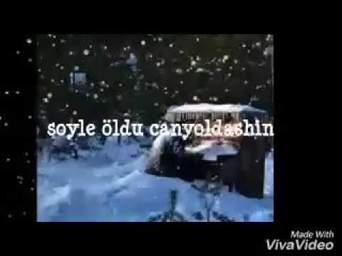 📝 Şer; Can yoldaşım 💬 Rahim Turani