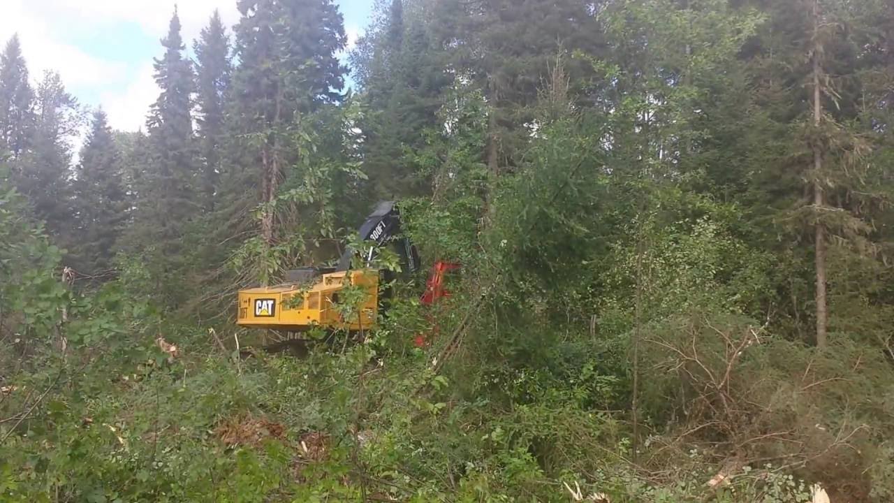 CAT 541 NORTHWESTERN ONTARIO - YouTube