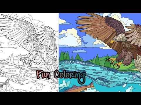 mewarnai burung elang (coloring) - eps.10 - YouTube