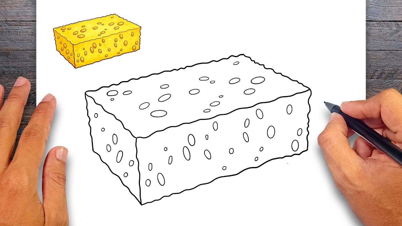 How to draw a Sponge - Sponge Drawing Ideas - YouTube