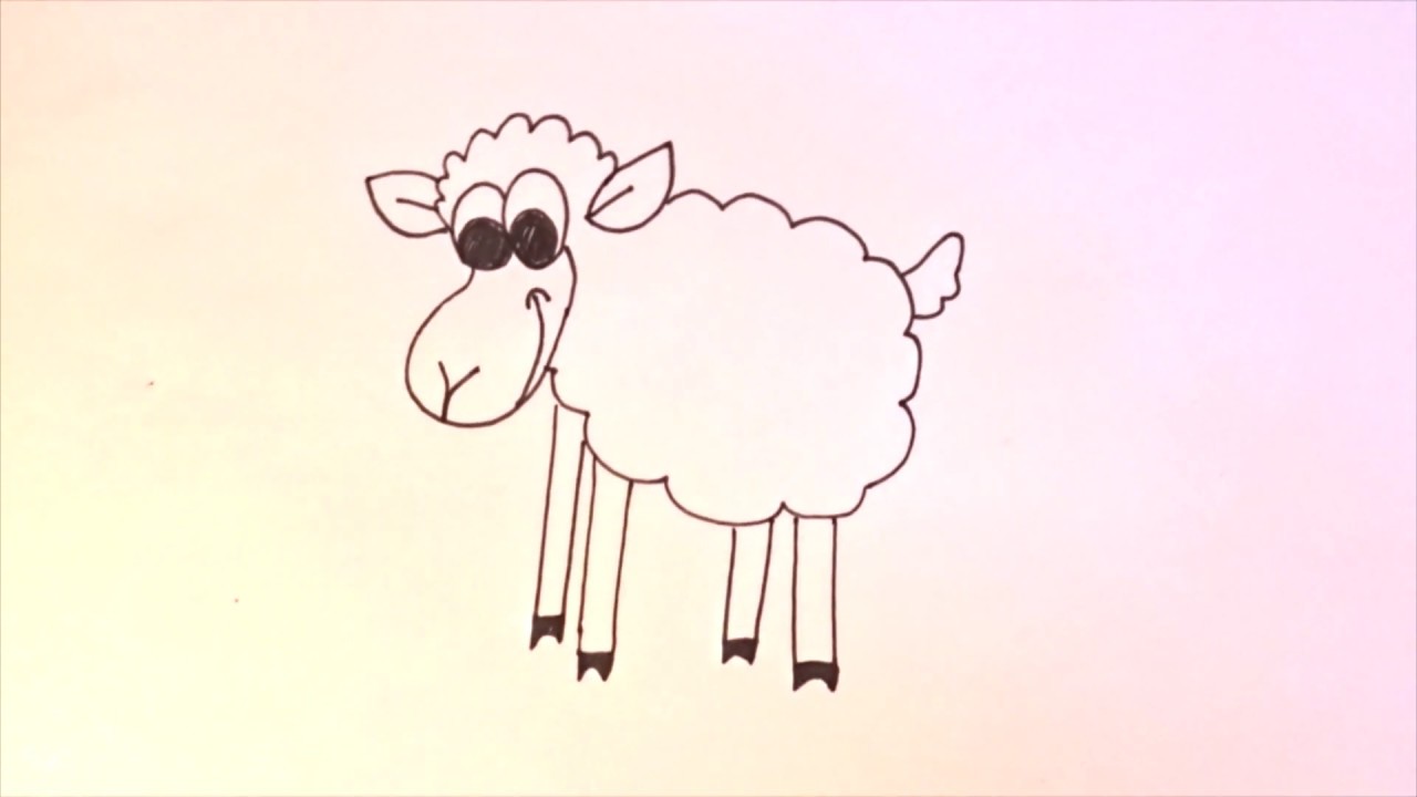 Hogyan rajzoljunk? Állatok: Bárány rajz gyerekeknek /Sheep drawing for ...