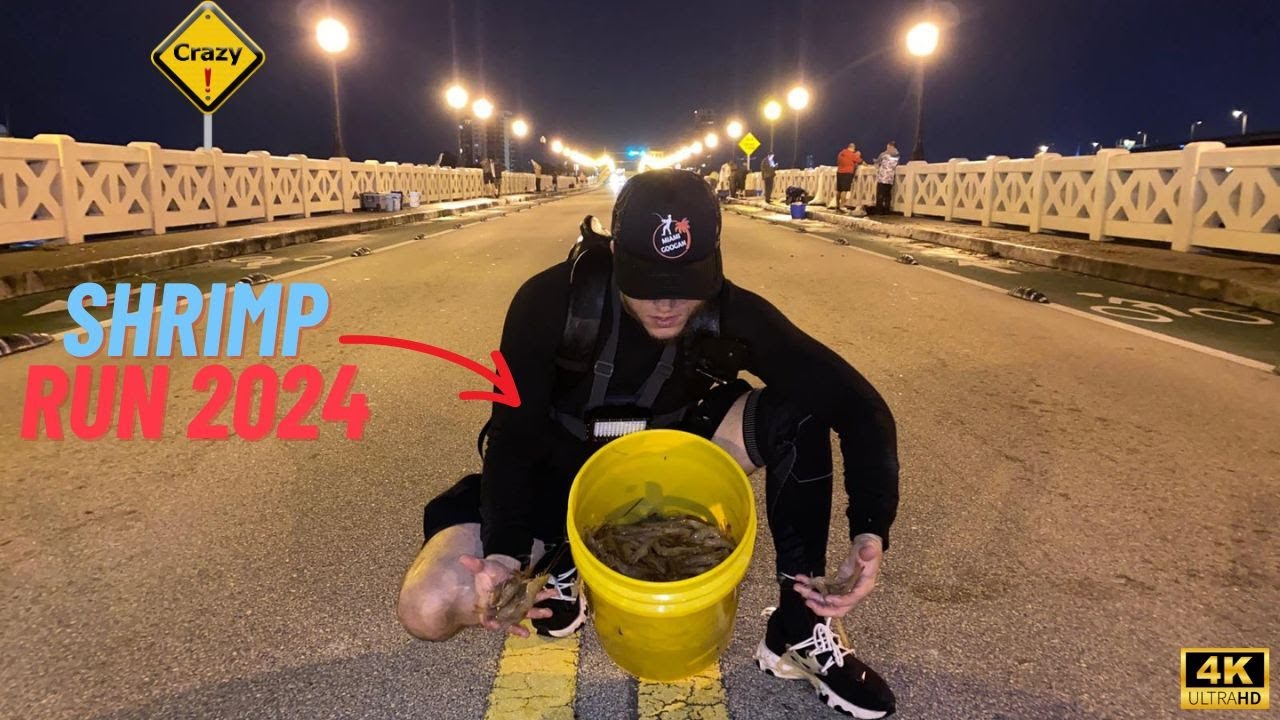 Best SHRIMP run 2024 (Everything you need to know) - YouTube