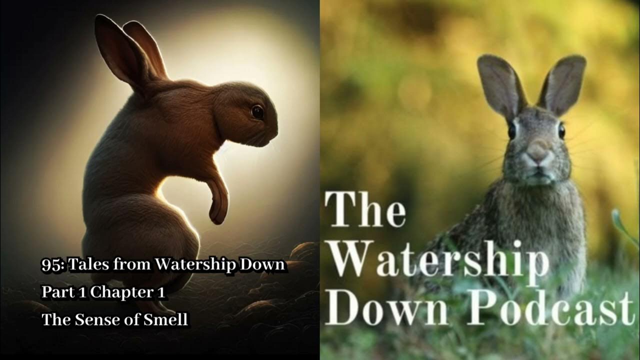 95: Tales from Watership Down Part 1 Chapter 1 The Sense of Smell - YouTube