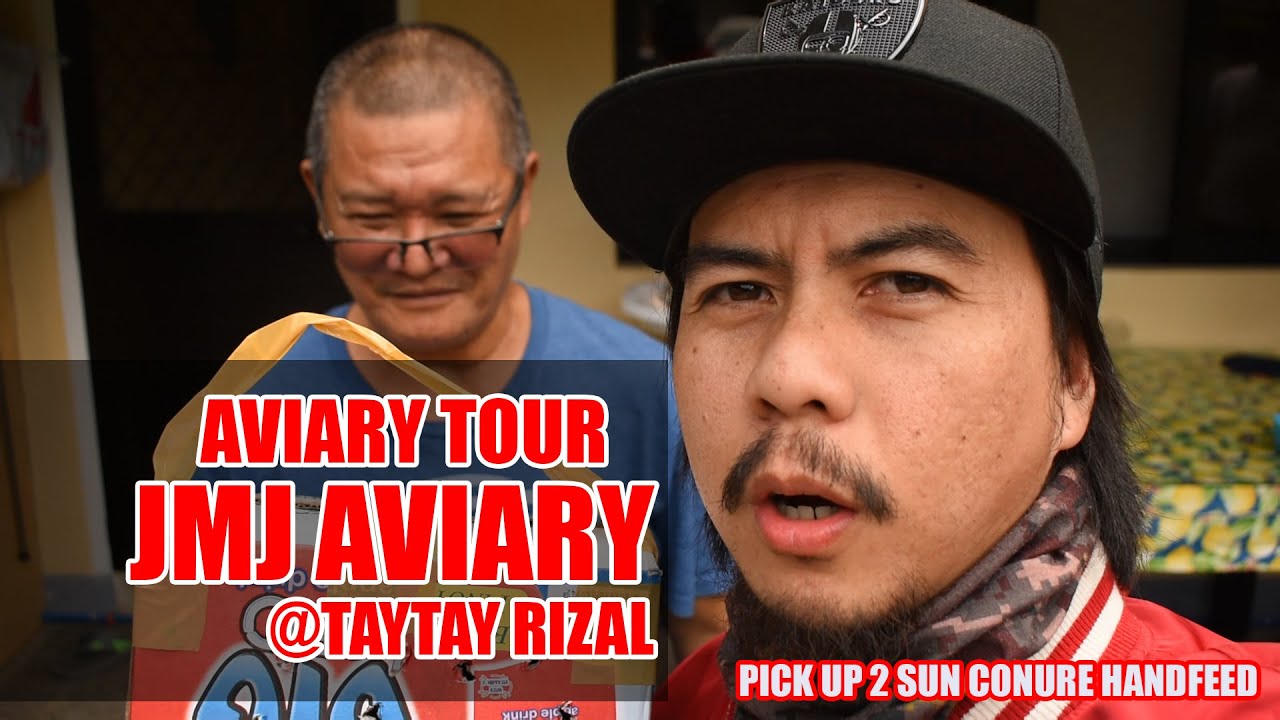FIRST AVIARY VISIT to JMJ AVIARY @TAYTAY RIZAL VLOGGG#21 - YouTube