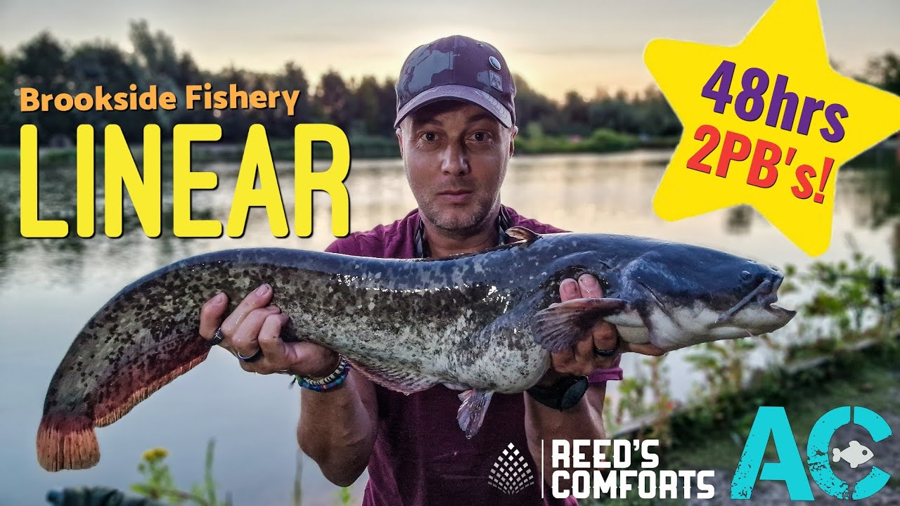 Linear Lake | 48hr Session | Brookside Fishery 23 - YouTube