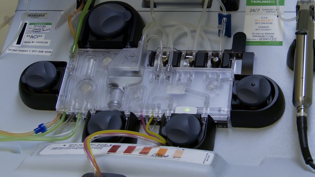 Apheresis/Immunotherapy for Hematologic Cancers - YouTube