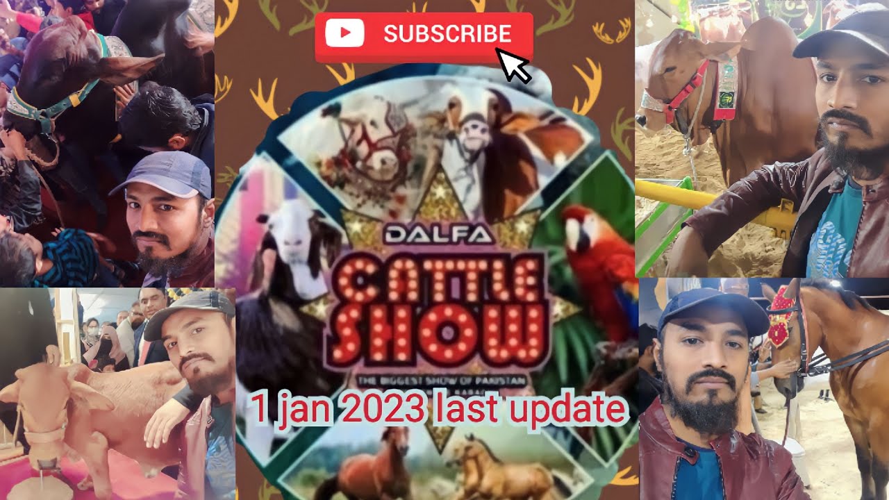 dalfa cattle show 2023 | dalfa cattle show 2022 aamir vlogs - YouTube
